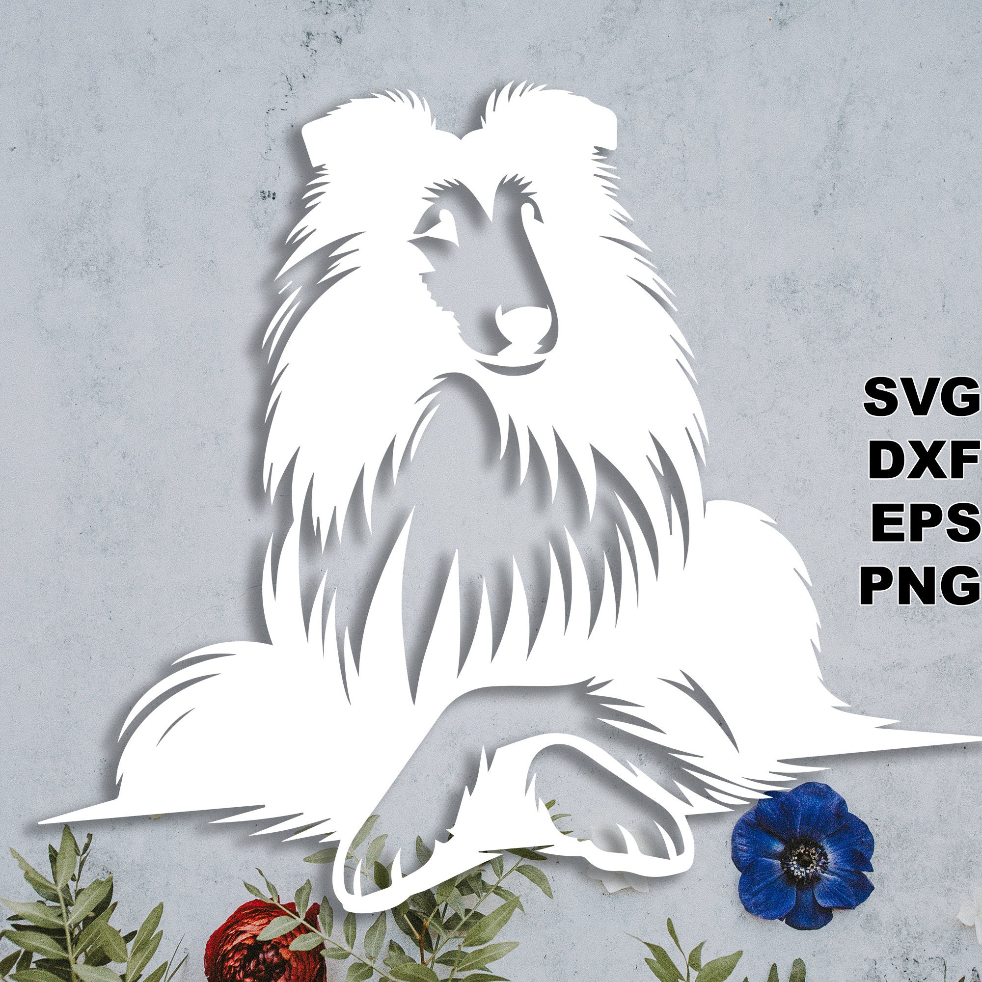 Rough Collie SVG Cut Files svg Dxf Png Eps Silhouette & Cricut, Digital ...