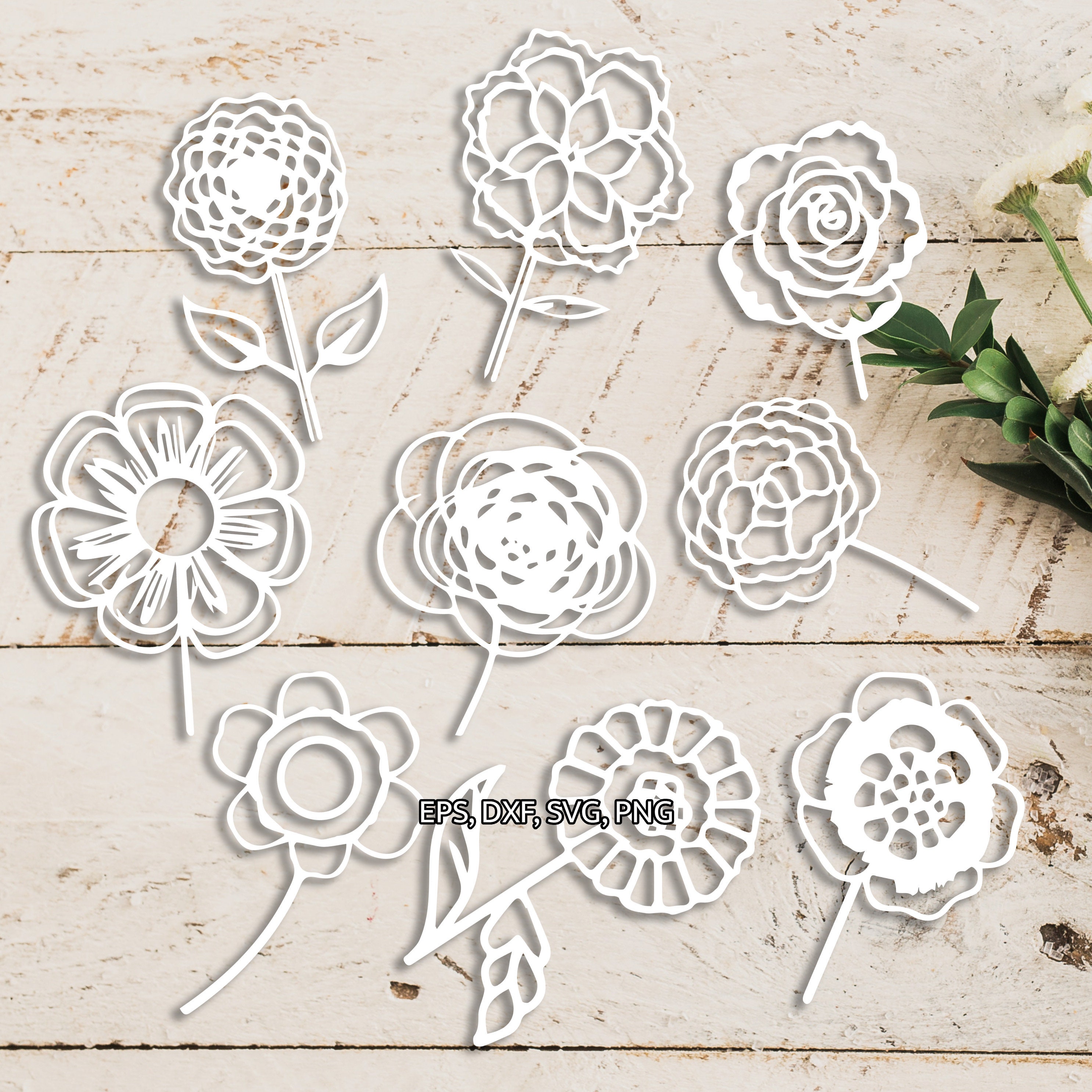 Flowers SVG Cut Files svg Dxf Png Eps Silhouette & Cricut - Etsy
