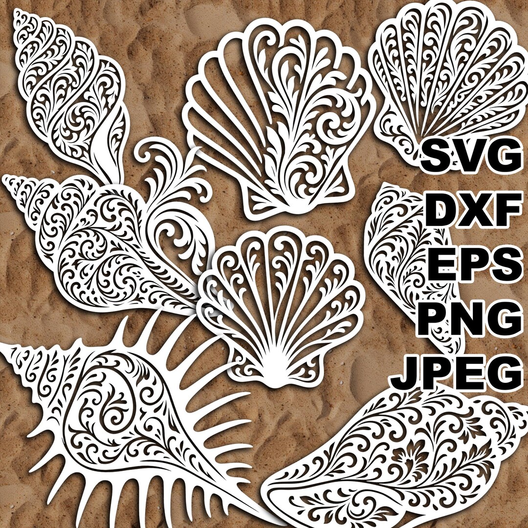 More Filigree Seashells SVG Cut Files (svg Dxf Png Eps Jpeg) Silhouette ...