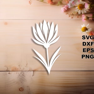 Rocky Mountain Flora SVG Cut Files (svg Dxf Png Eps) Vinyl and Paper ...