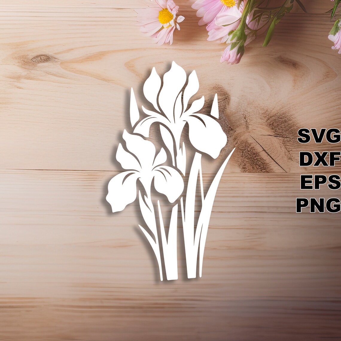 French Flora SVG Cut Files (svg Dxf Png Eps) Vinyl and Paper Cut, CNC ...