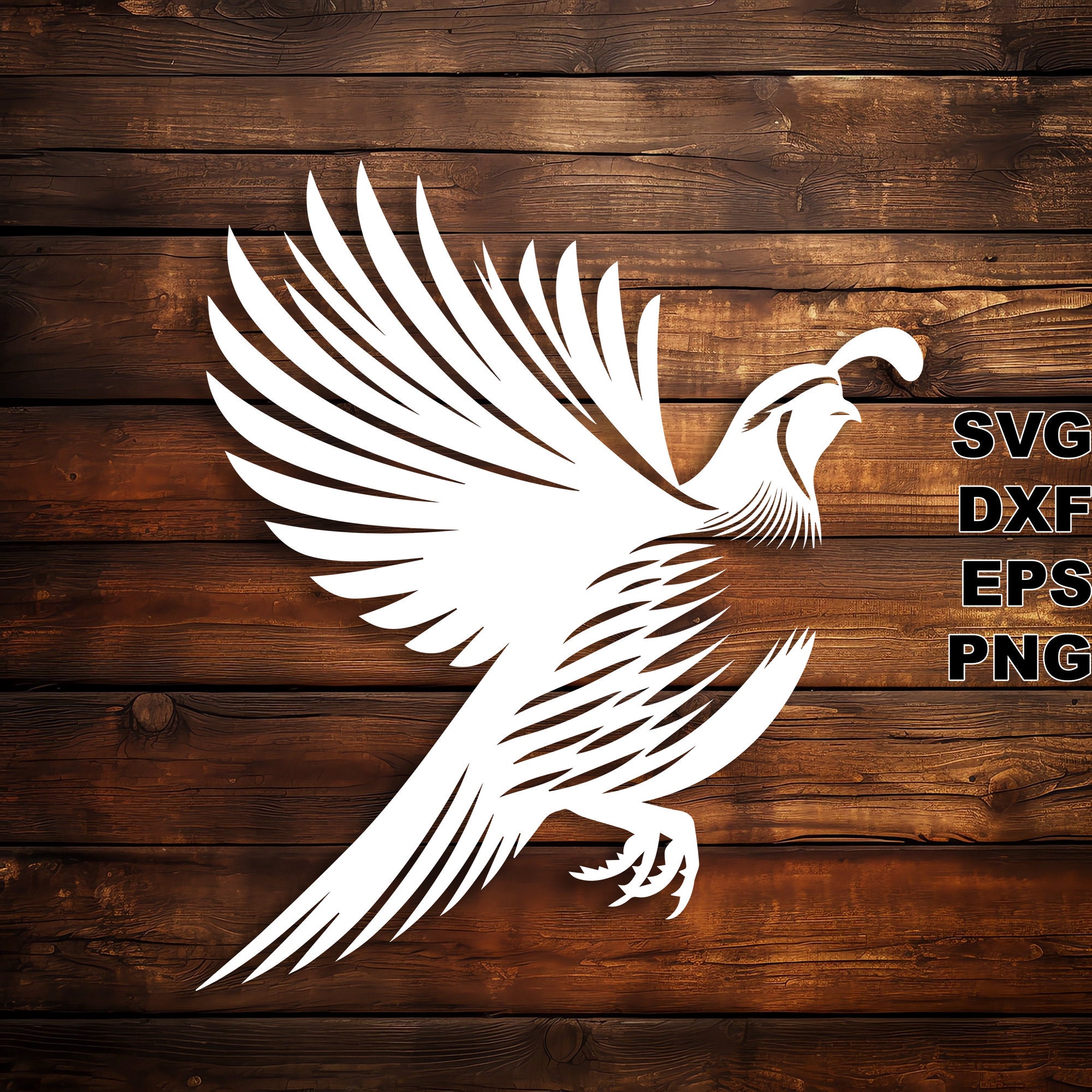 Birds of the American Southwest - SVG Cut Files (svg Dxf Png Eps) Vinyl ...