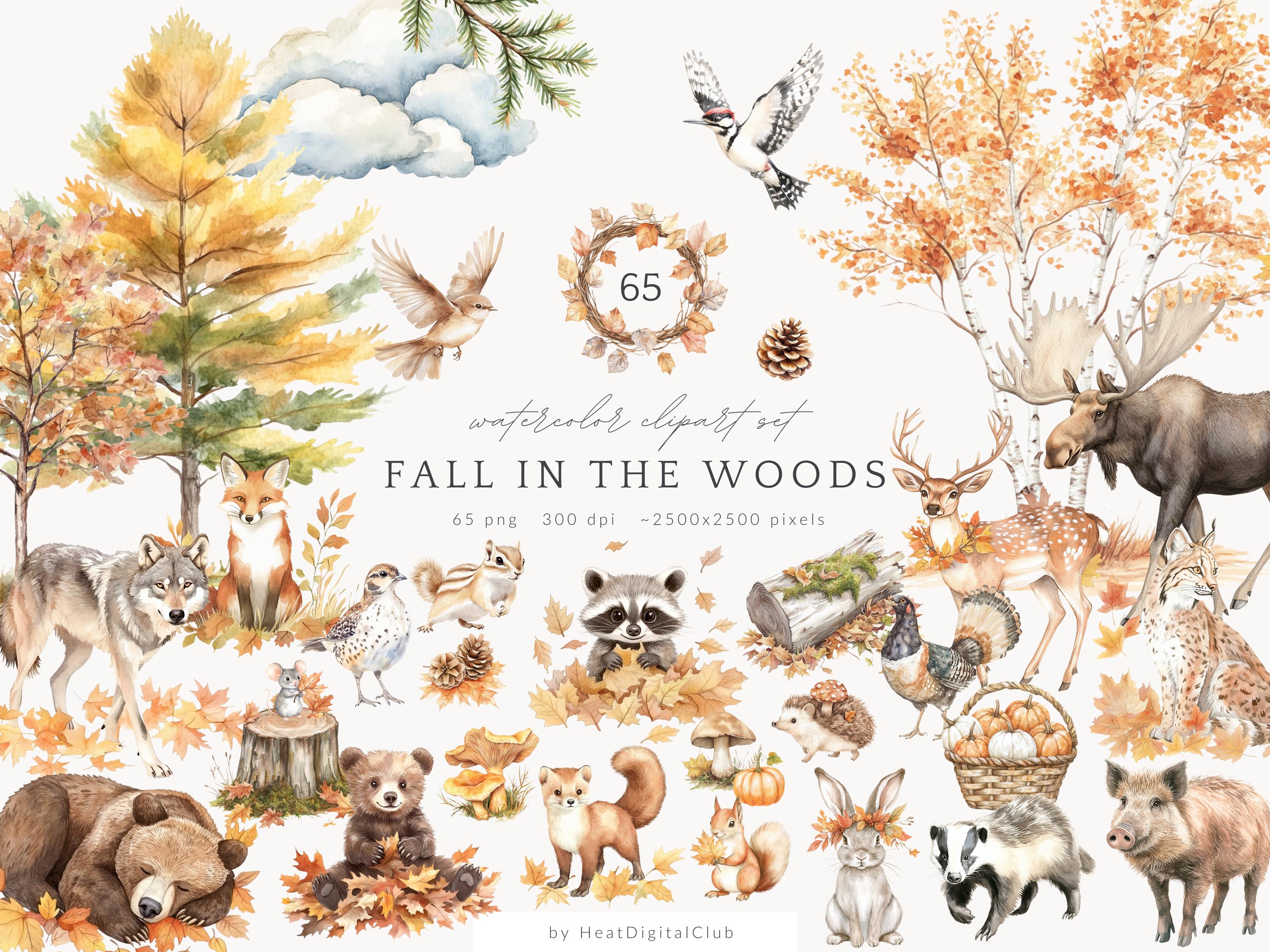 Watercolor Fall Woodland Animals Clipart, Autumn Forest Animals PNG ...