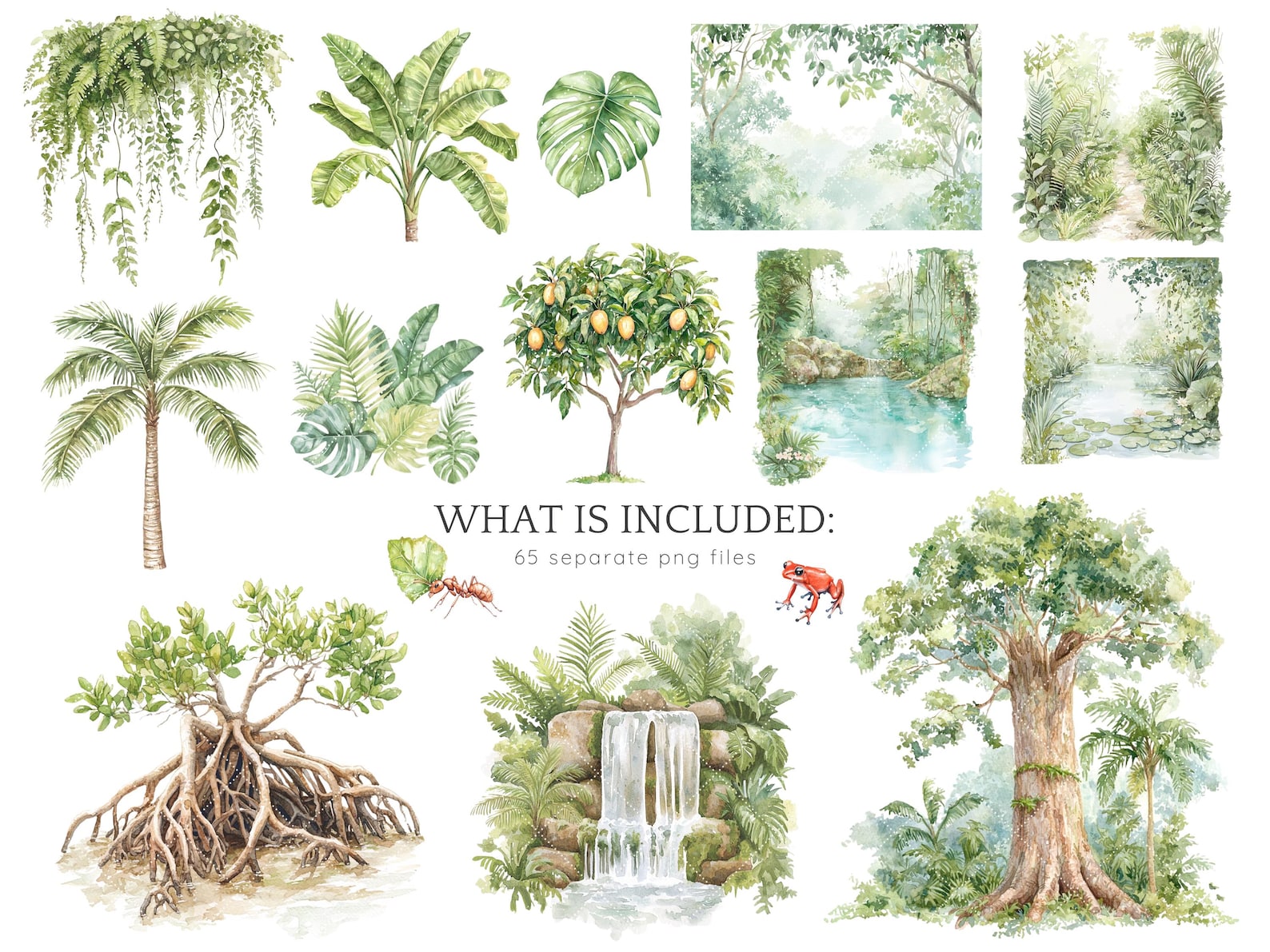 Watercolor Jungle Animals Clipart, Exotic Safari PNG (digital Download ...