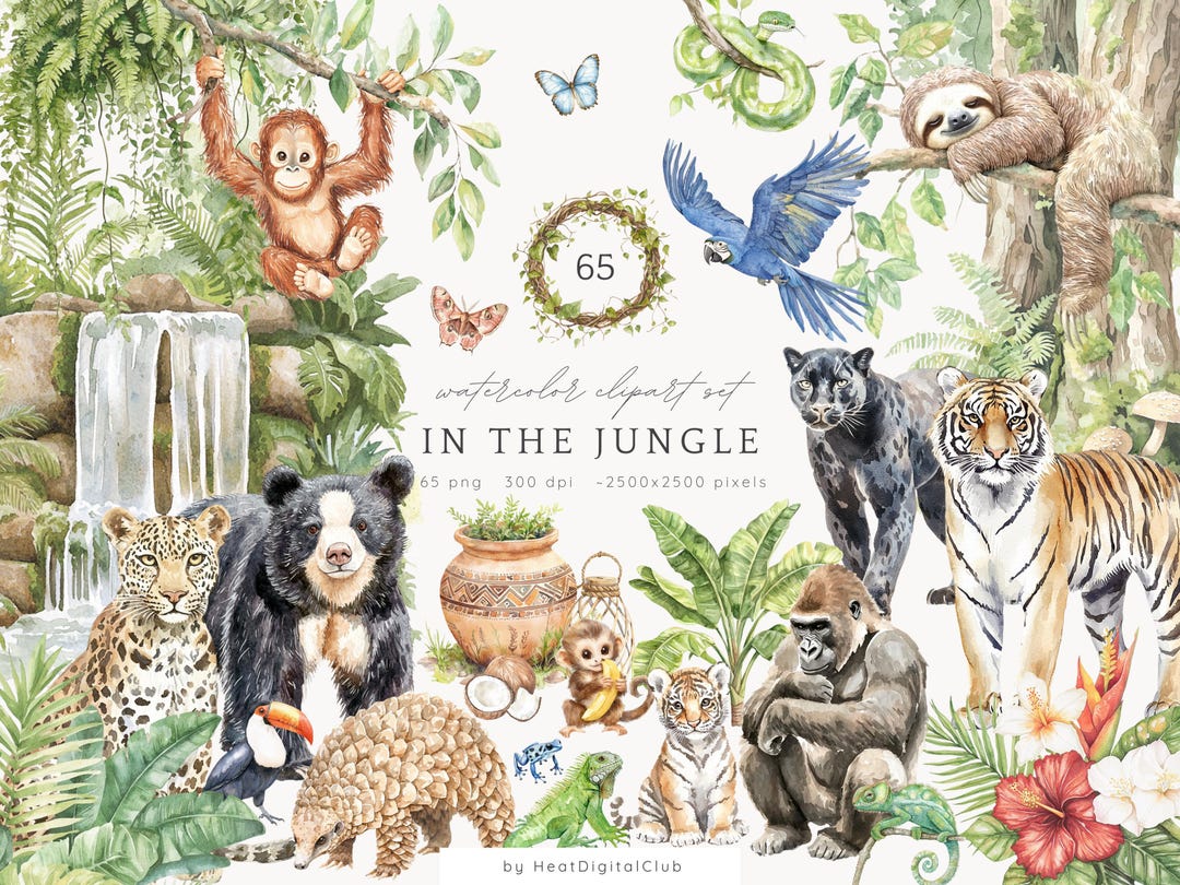 Watercolor Jungle Animals Clipart, Exotic Safari PNG (digital Download ...
