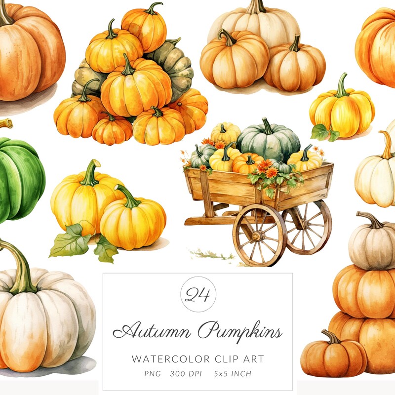 Pumpkin Watercolour - Etsy