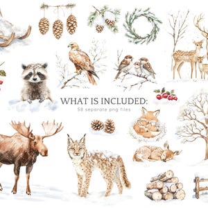 Watercolor Winter Woodland Clipart, Winter Clip Art, Winter Animals ...