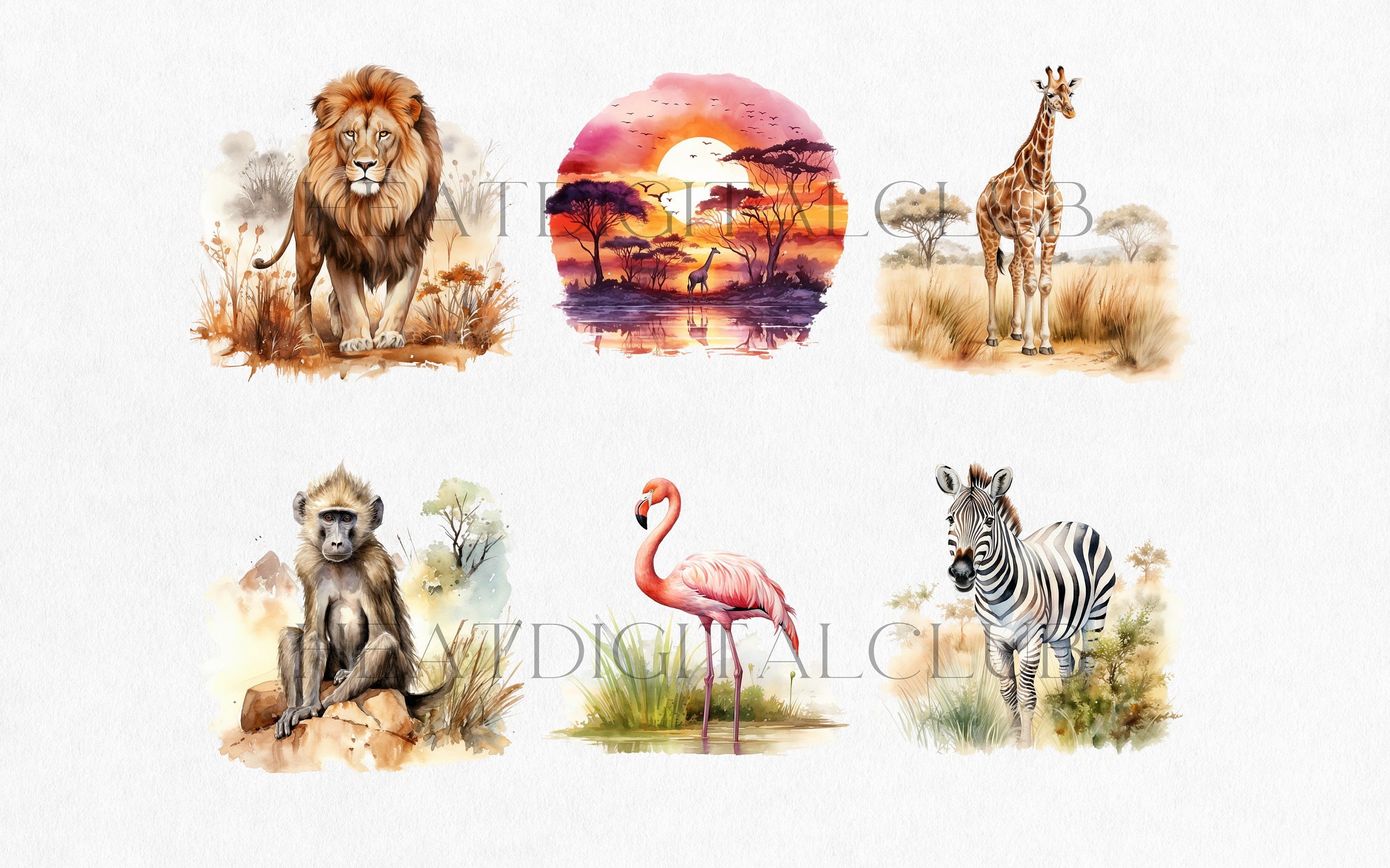 Watercolor African Summer Safari Clipart Cute Safari Animals - Etsy