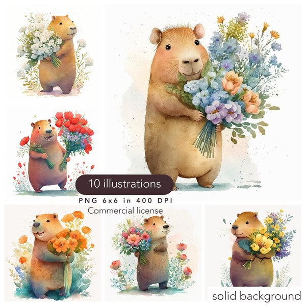 Cute Capybara Clipart - Etsy