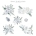 Watercolor Silver Ice Arrangement Clipart, Cozy Winter Roses Clip Art ...