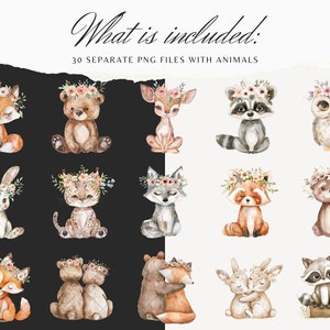Watercolor Woodland Friends Clipart Bundle, Cute Forest Animals Clip ...