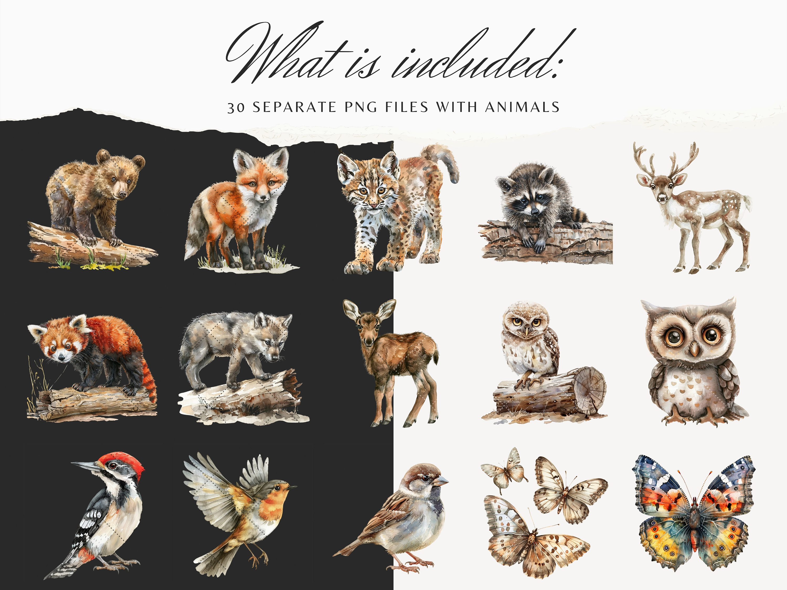 Watercolor Woodland Babies Clipart Bundle, Forest Animals Clip Art ...
