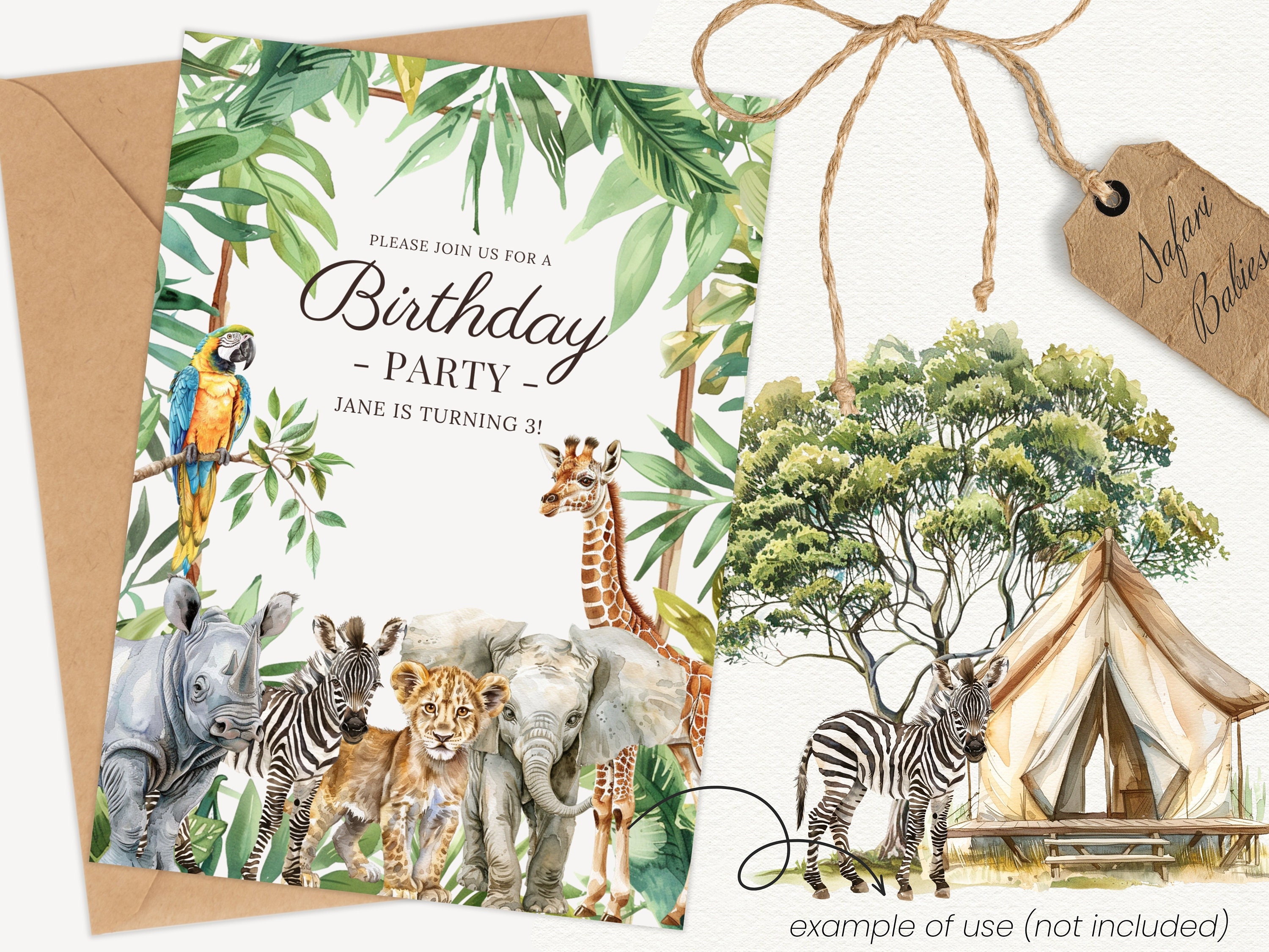 Watercolor Safari Baby Animals Clipart Bundle, PNG (digital Download ...