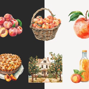 Watercolor Peach Garden Clipart Bundle, Fruit Clip Art, Summer Graphics ...