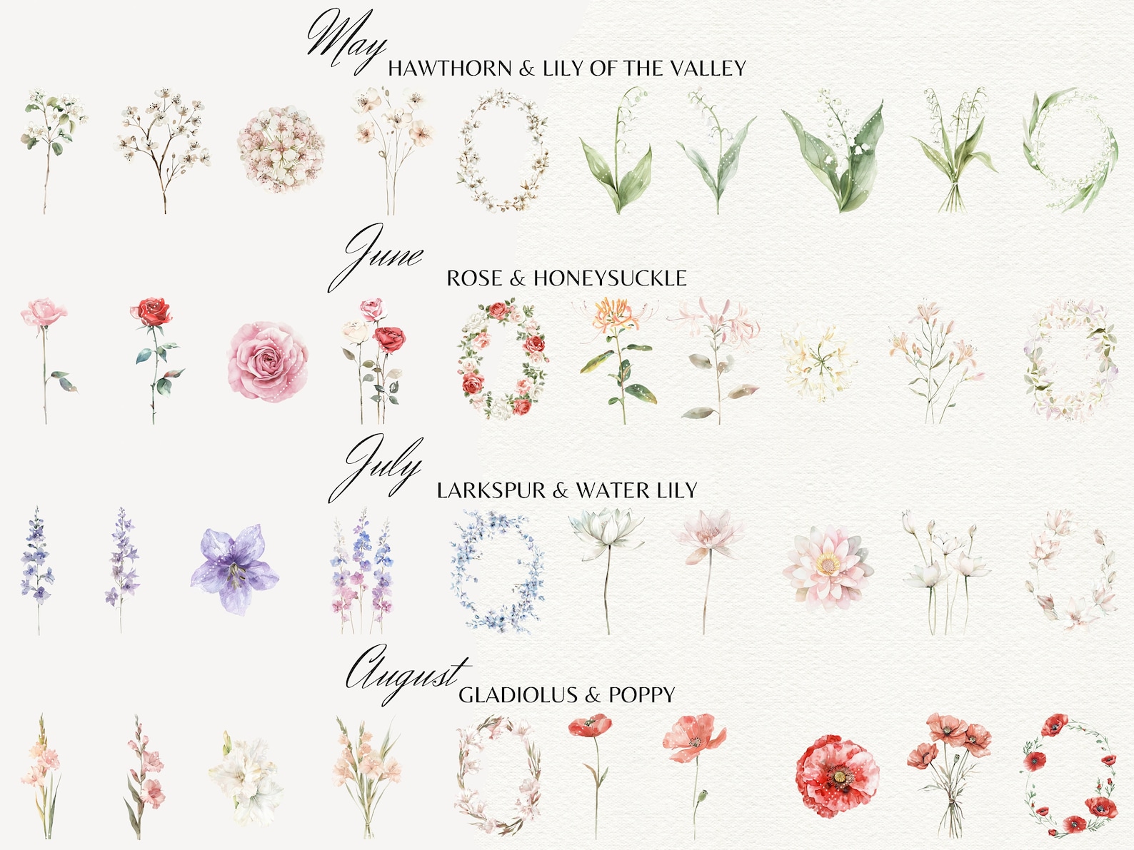 Birth Month Flower Clipart, Birth Flower PNG Set, Watercolor Birth ...