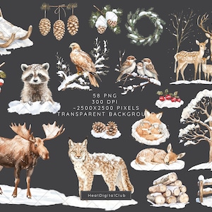 Watercolor Winter Woodland Clipart, Winter Clip Art, Winter Animals ...