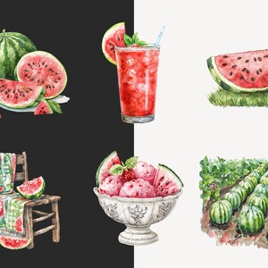 Watercolor Watermelon Garden Clipart Bundle, Fruit Clip Art, Summer ...