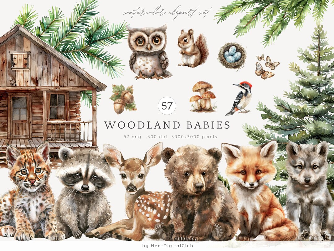Watercolor Woodland Babies Clipart Bundle, Forest Animals Clip Art ...