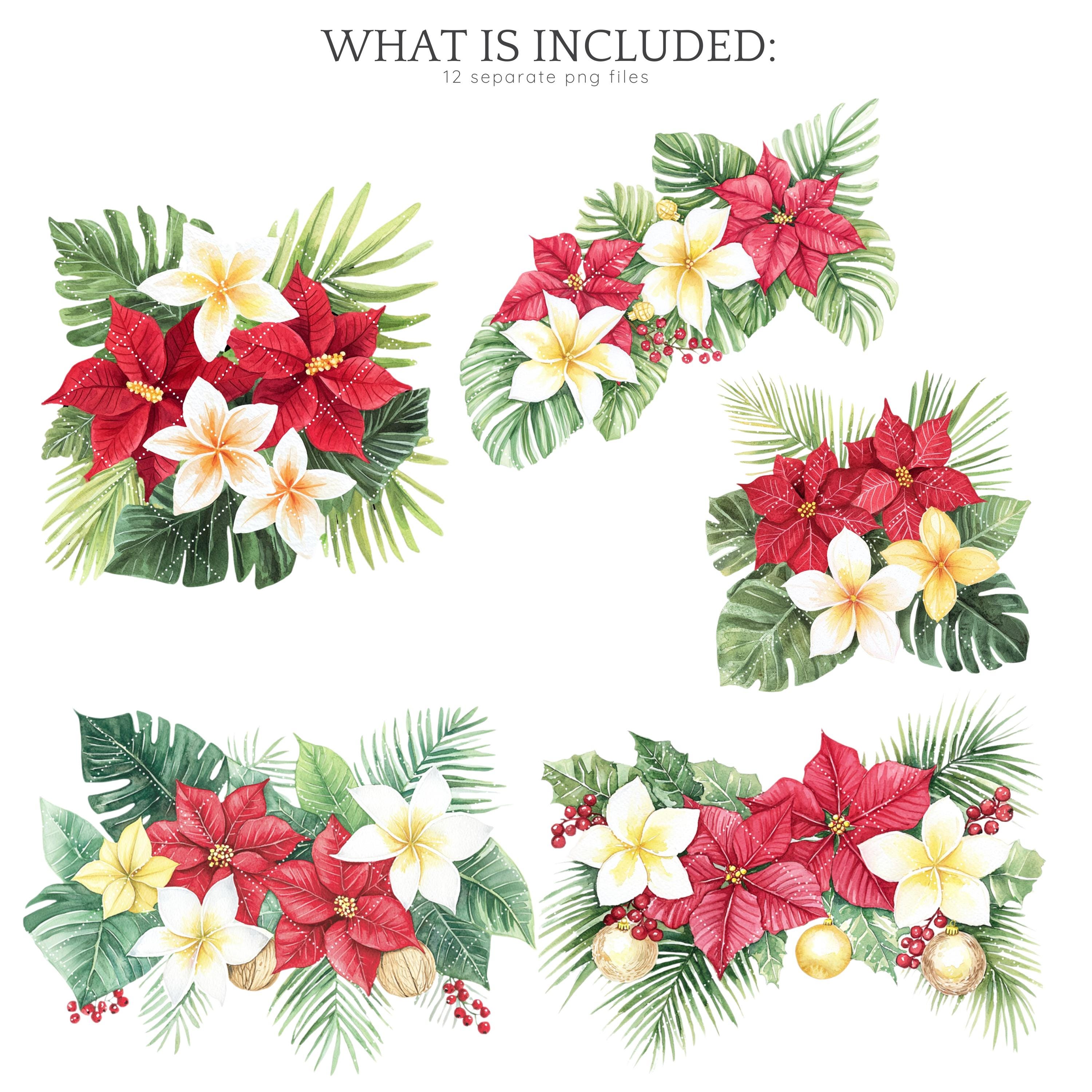 Watercolor Hula Holidays Arrangement Clipart, Hawaiian Christmas Clip ...