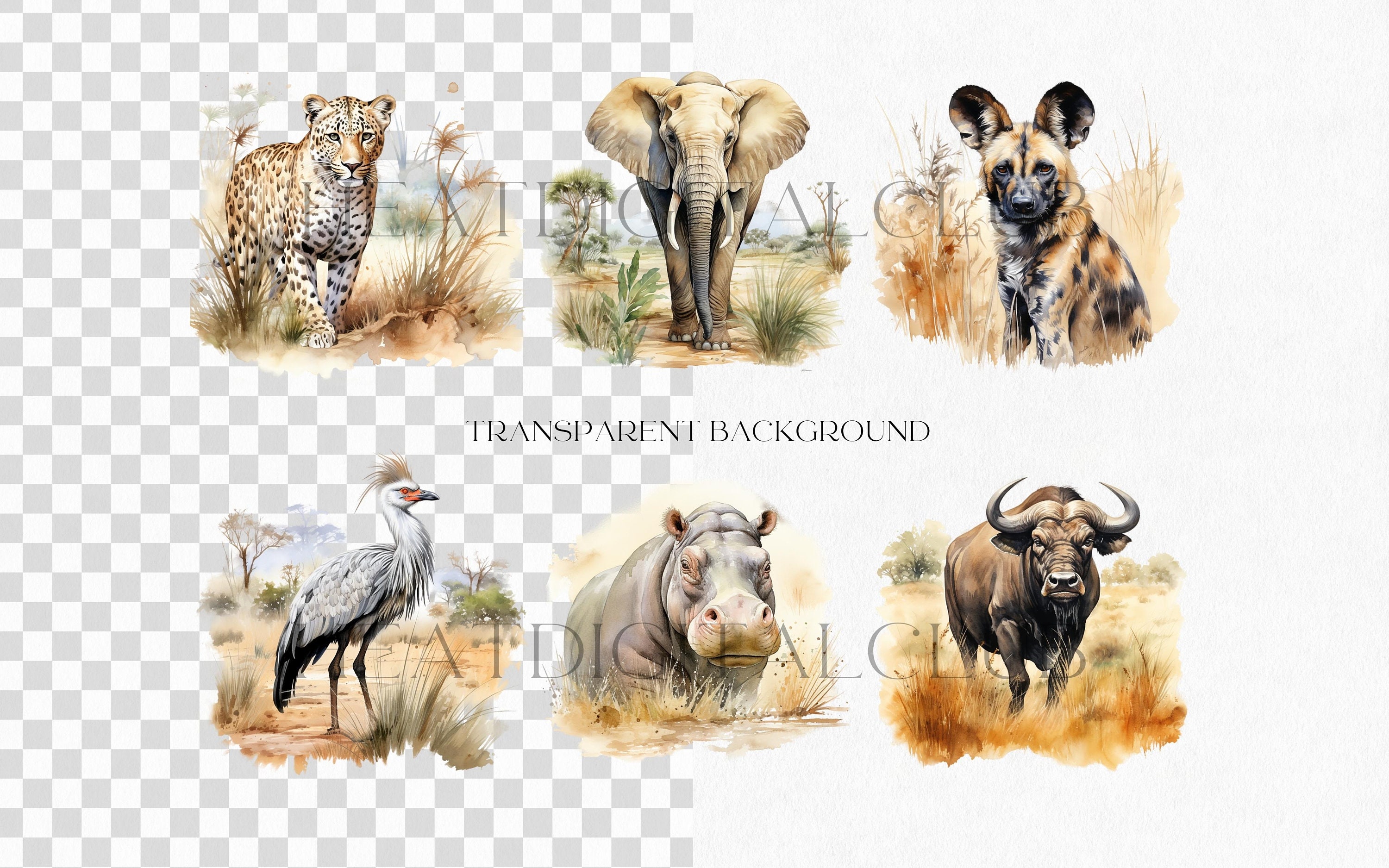 Watercolor African Summer Safari Clipart Cute Safari Animals - Etsy