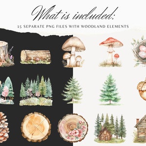 Watercolor Woodland Friends Clipart Bundle, Cute Forest Animals Clip ...