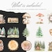Watercolor Woodland Friends Clipart Bundle, Cute Forest Animals Clip ...