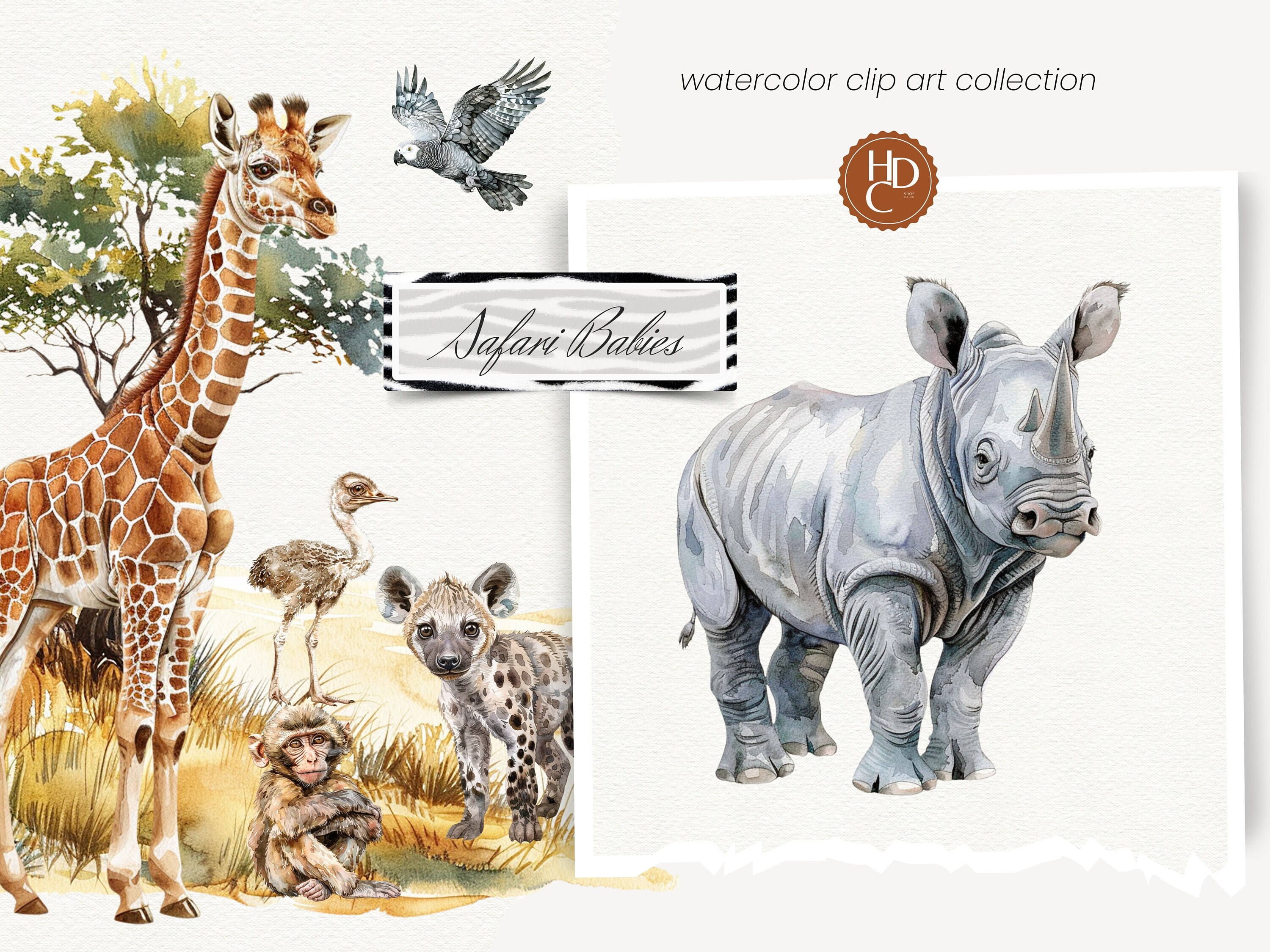 Watercolor Safari Baby Animals Clipart Bundle, PNG (digital Download ...