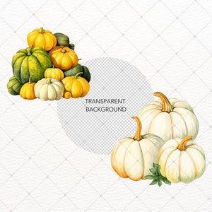 24 Watercolor Autumn Pumpkin Clipart - Fall Halloween Clip Art, Garden ...