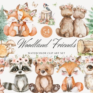 Watercolor Woodland Friends Clipart Bundle, Cute Forest Animals Clip ...