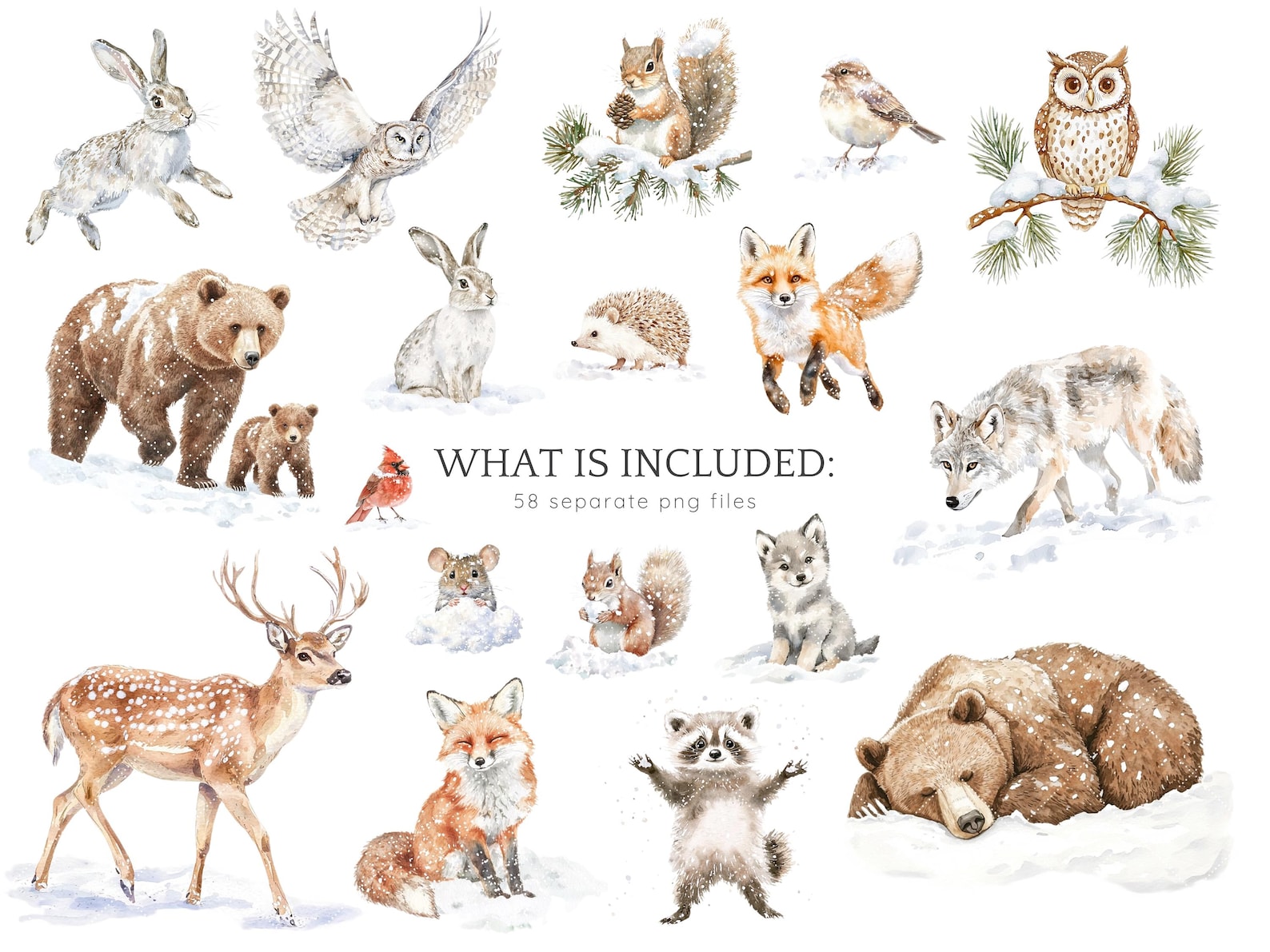 Watercolor Winter Woodland Clipart, Winter Clip Art, Winter Animals ...