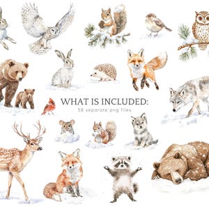 Watercolor Winter Woodland Clipart, Winter Clip Art, Winter Animals ...