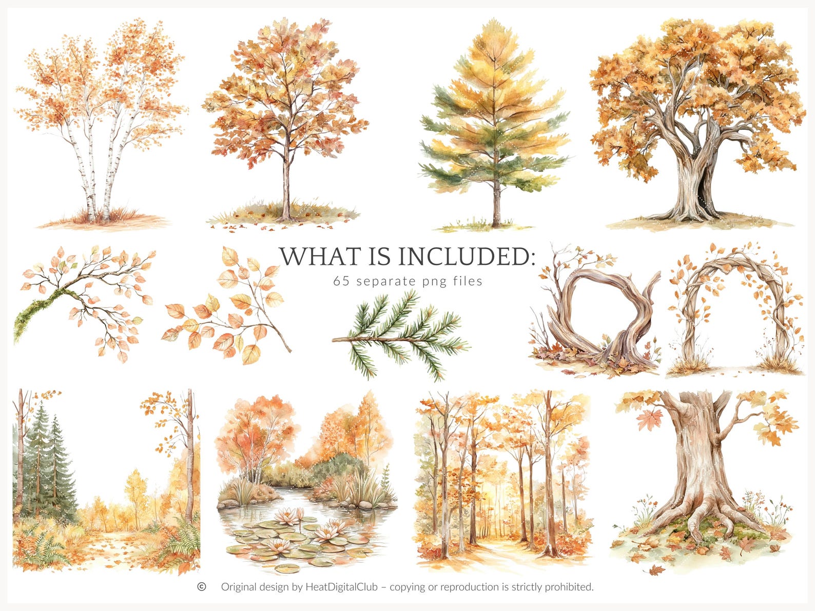 Watercolor Fall Woodland Animals Clipart, Autumn Forest Animals PNG ...