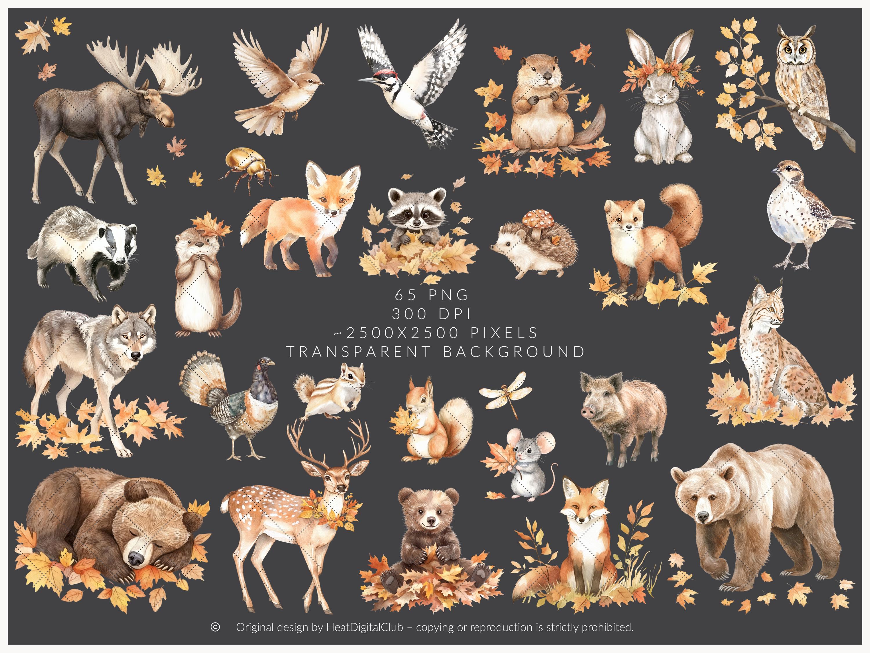 Watercolor Fall Woodland Animals Clipart, Autumn Forest Animals PNG ...