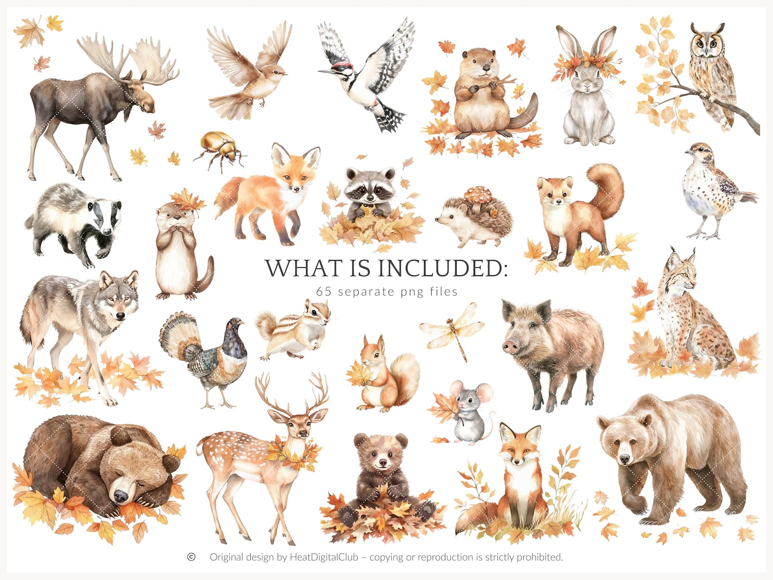 Watercolor Fall Woodland Animals Clipart, Autumn Forest Animals PNG ...