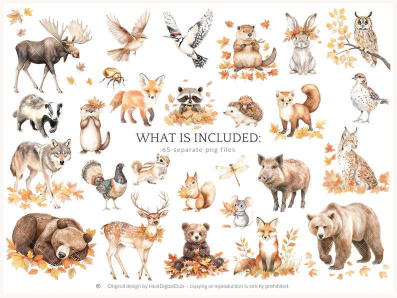 Watercolor Fall Woodland Animals Clipart, Autumn Forest Animals PNG ...