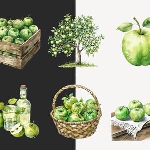 Watercolor Apple Garden Clipart Bundle, Green Apples Clip Art, Fruits ...