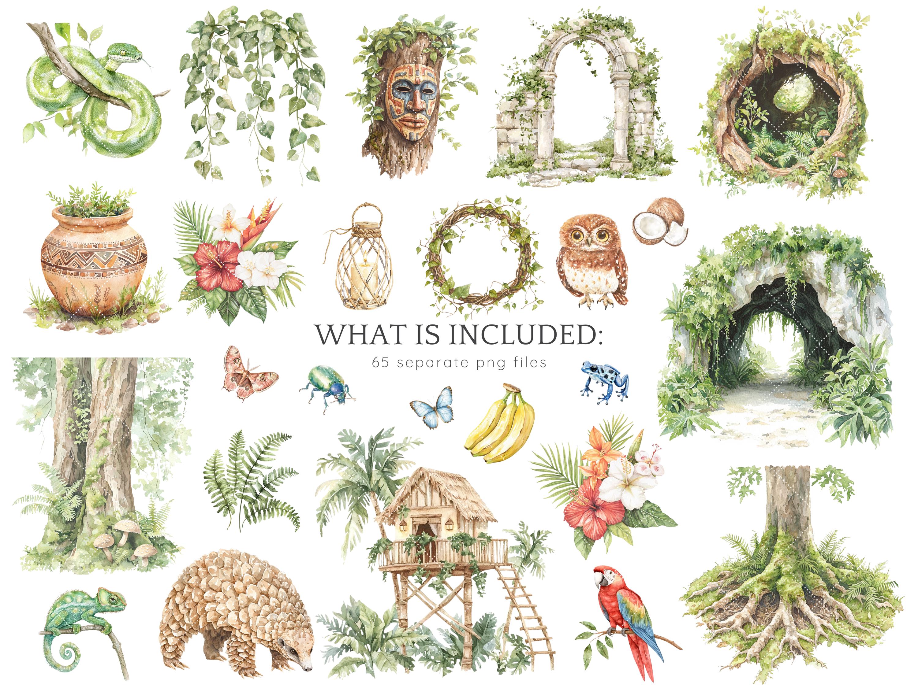 Watercolor in the Jungle Clipart, Exotic Animals Png, Tropical Clipart ...