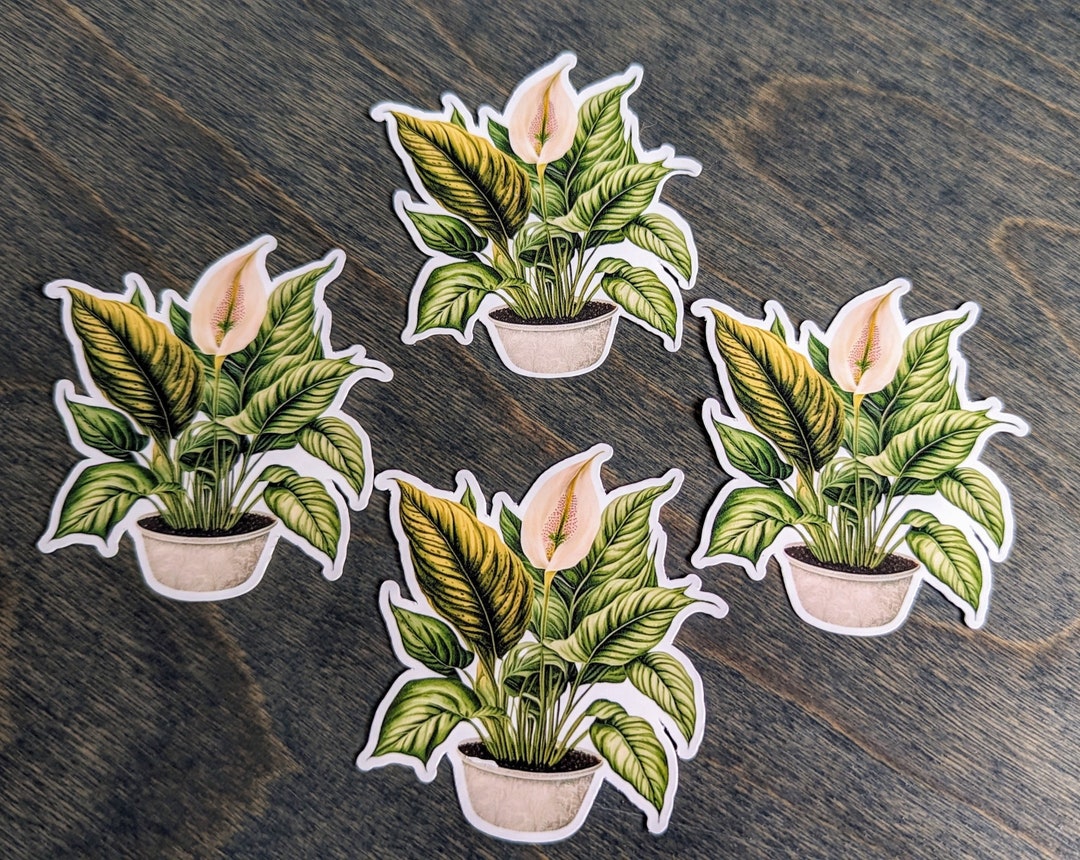 Peace Lily Plant Stickers, Houseplant, Plant Mom Stickers, Plantaholic ...