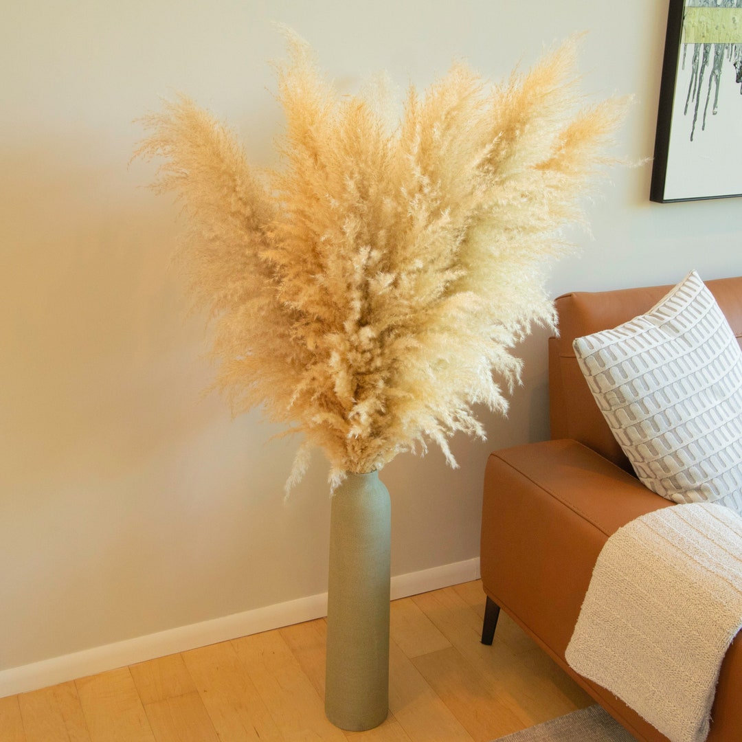 12 Pack Pampas 4 Foot Tall Fluffy Pampas Grass 4 Foot XL - Etsy