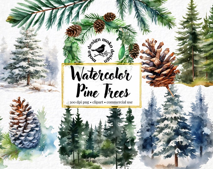 Watercolor Pine Tree Clipart | 21 PNG Individual Images on Transparent ...
