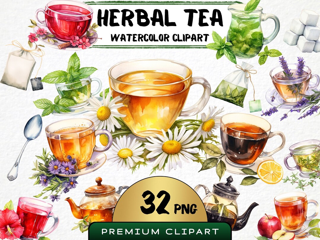 Herbal Tea Clipart, 32 Png, Green Tea Watercolor, Cozy Tea Time, Mint ...