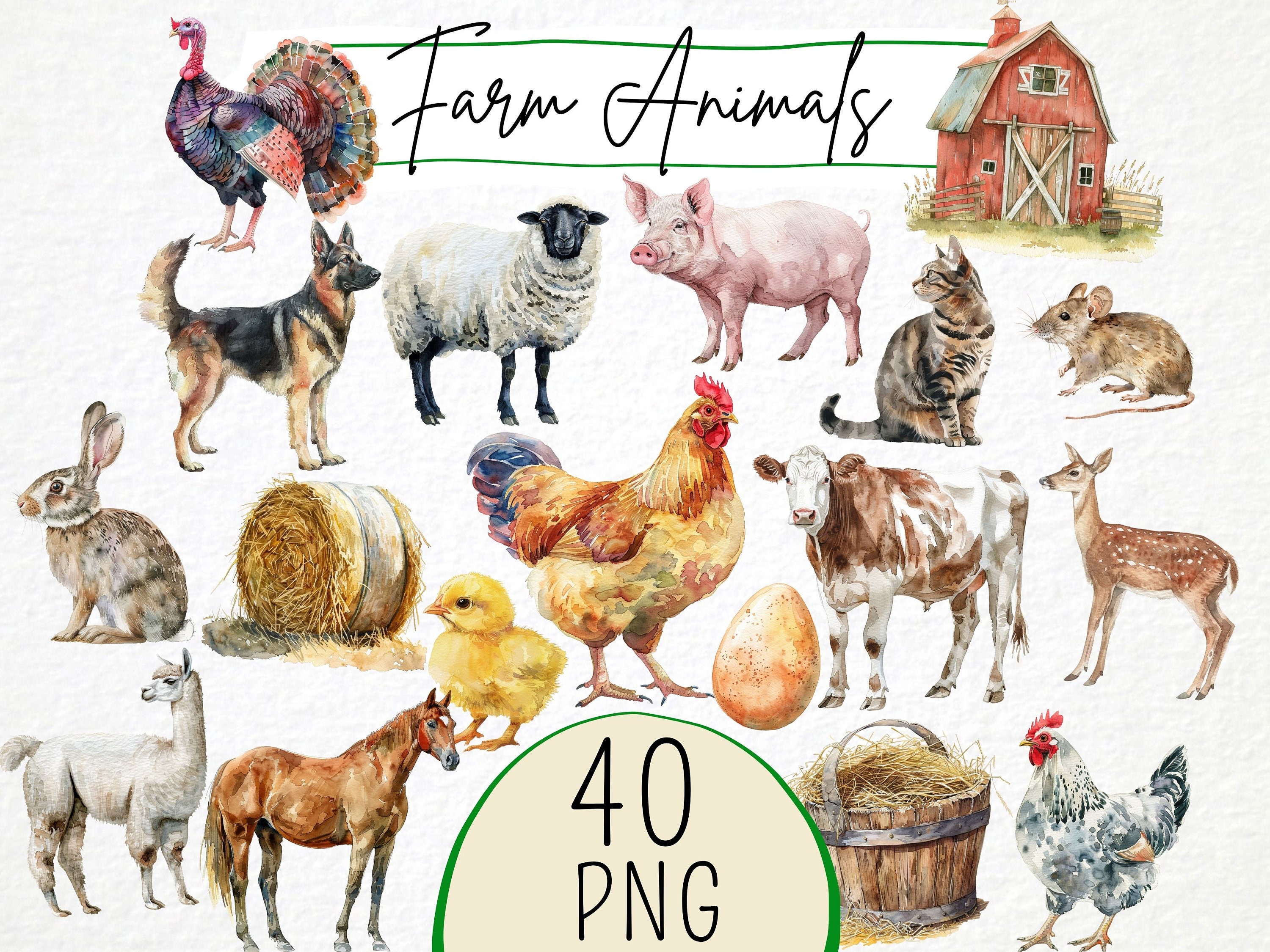Watercolor Farm Animals Clipart, Cute Illustrations (40 PNG Digital ...