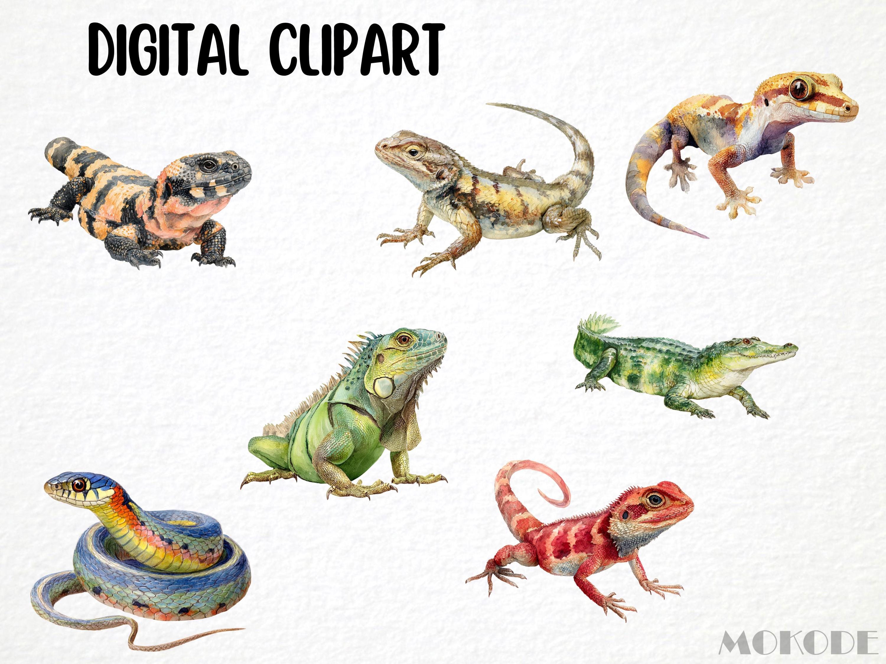 Watercolor Reptiles Clipart, Desert Animals Illustration (50 PNG) - Etsy