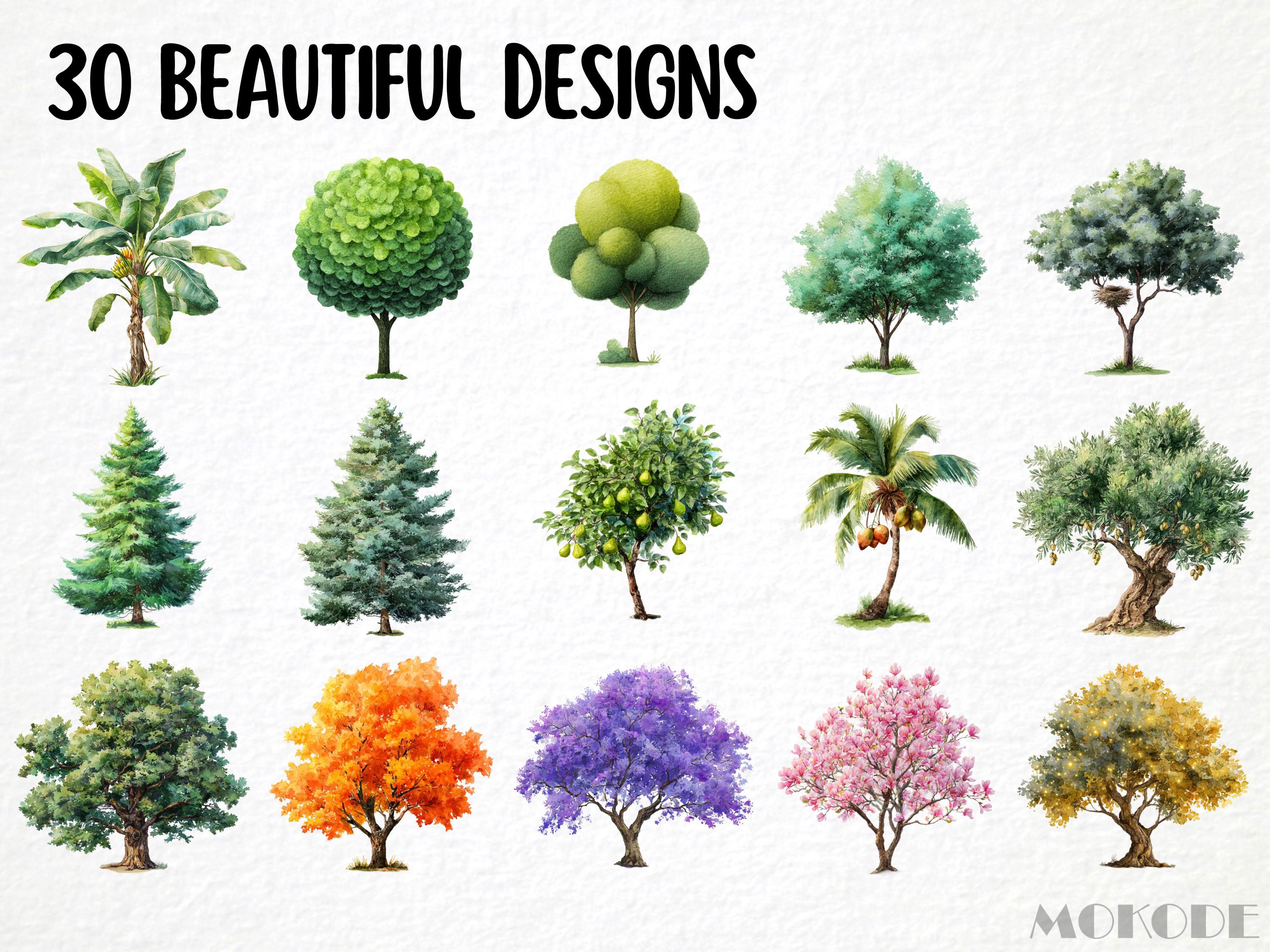 Watercolor Trees Clipart 30 PNG, Forest Tree Illustrations, Oak, Palm ...