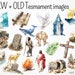 Bible Clipart 87 Png, Old Testament Watercolor New Testament Jesus ...