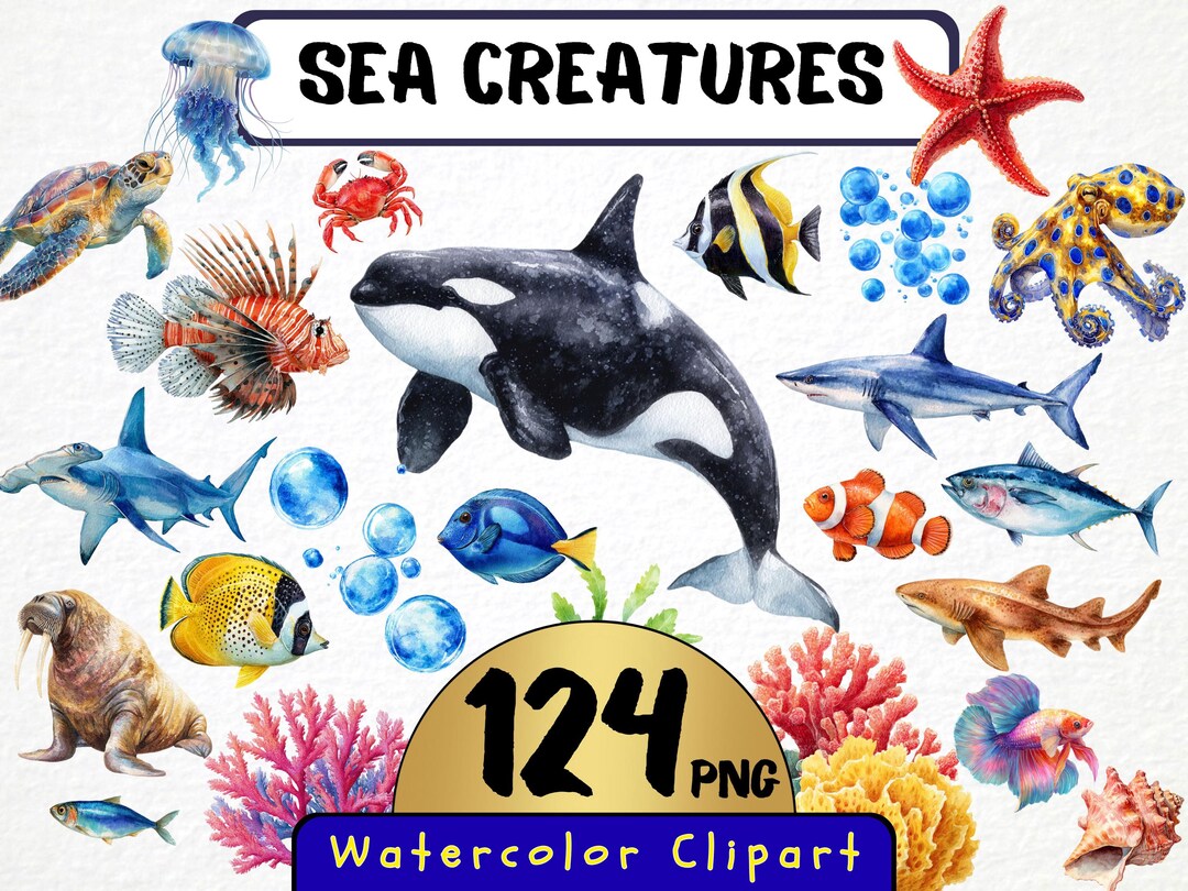 Watercolor Sea Creatures Clipart, Ocean Animals Graphics (124 PNG ...