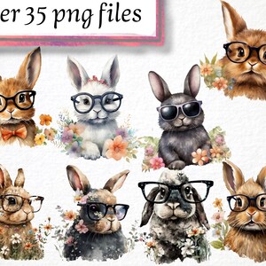 Cute Bunnies in Glasses Clip Art Funny Bunny Design Bundle Watercolor ...