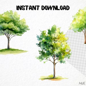 Watercolor Summer Tree Clipart, Green Garden Plants (digital Prints) - Etsy