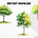 Watercolor Summer Tree Clipart 12 Png, Green Tree Graphics, Garden ...