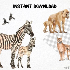 Watercolor Safari Animals Clipart 40 Png, Boho Style, African Savana ...